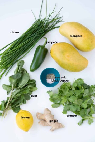 Easy Mango Salsa